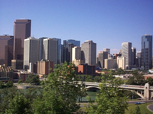 Ray Pfob - Pages On The Internet