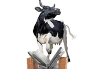 The Origin of Ninja Cow