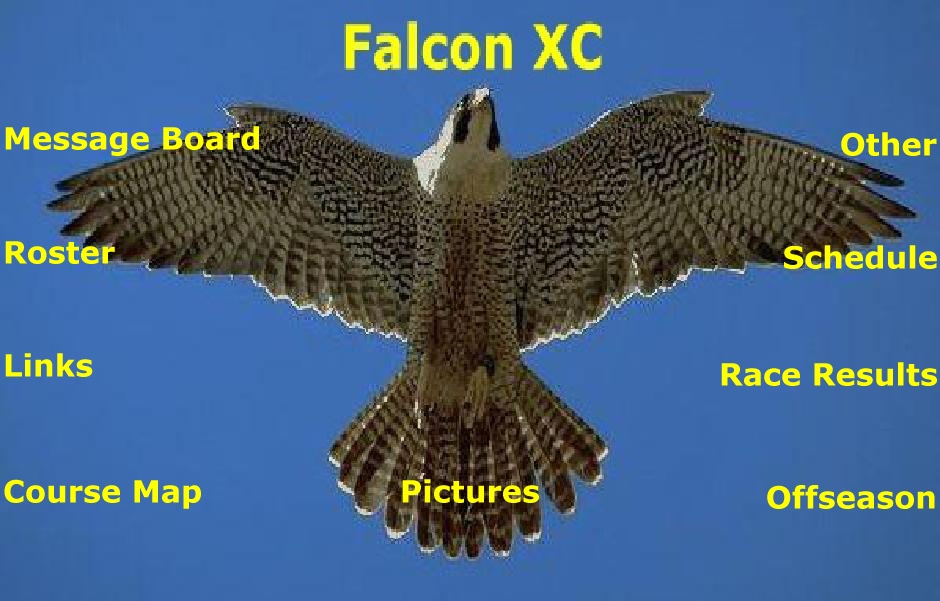 falcon_map.jpg