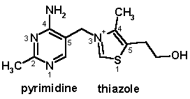Thiamine