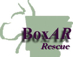 BOXAR NEEDS YOUR HELP TODAY!