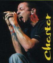 Chester Photos