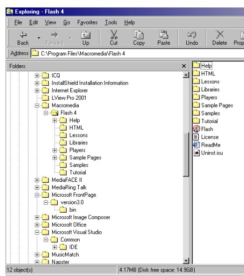 File Path cont. on next page