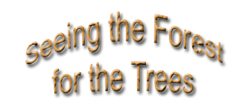 Seeing the Forest for the Trees