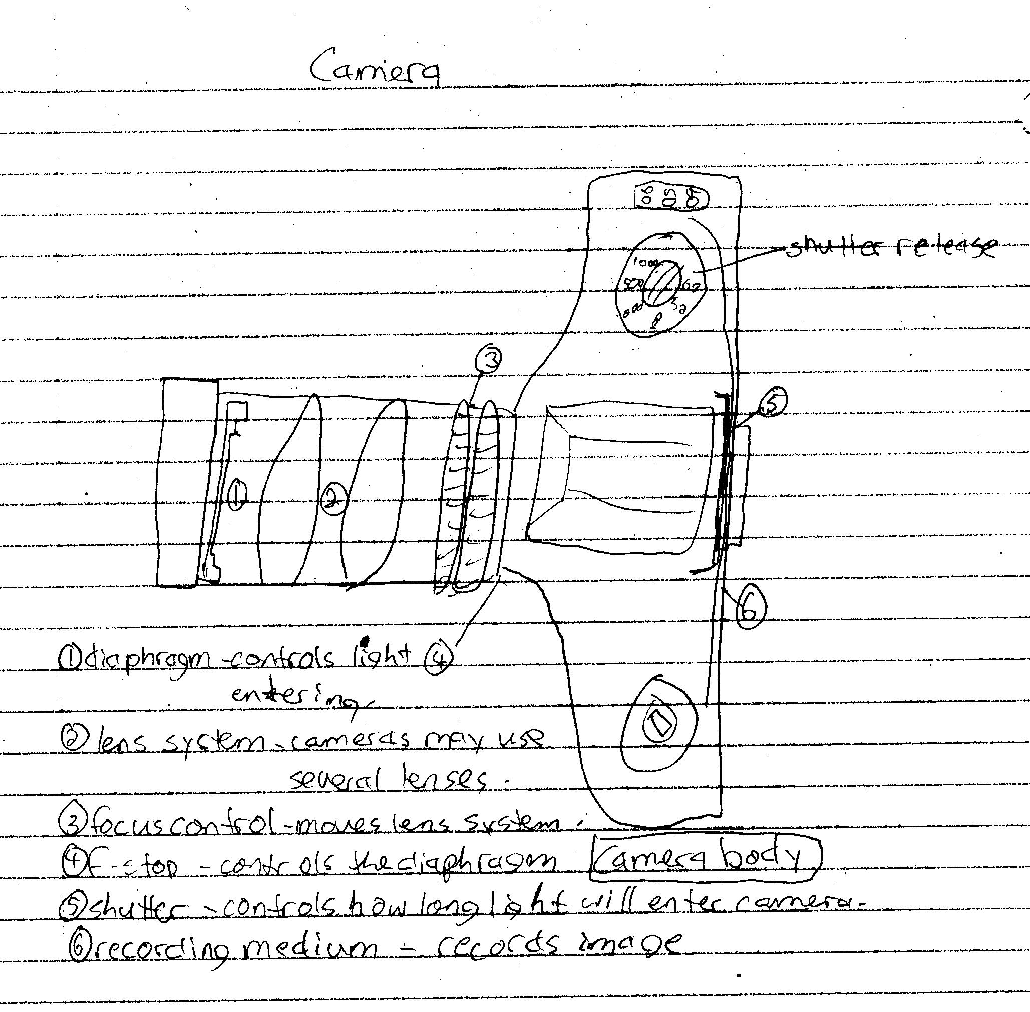 Science - The Human Eye Assignment