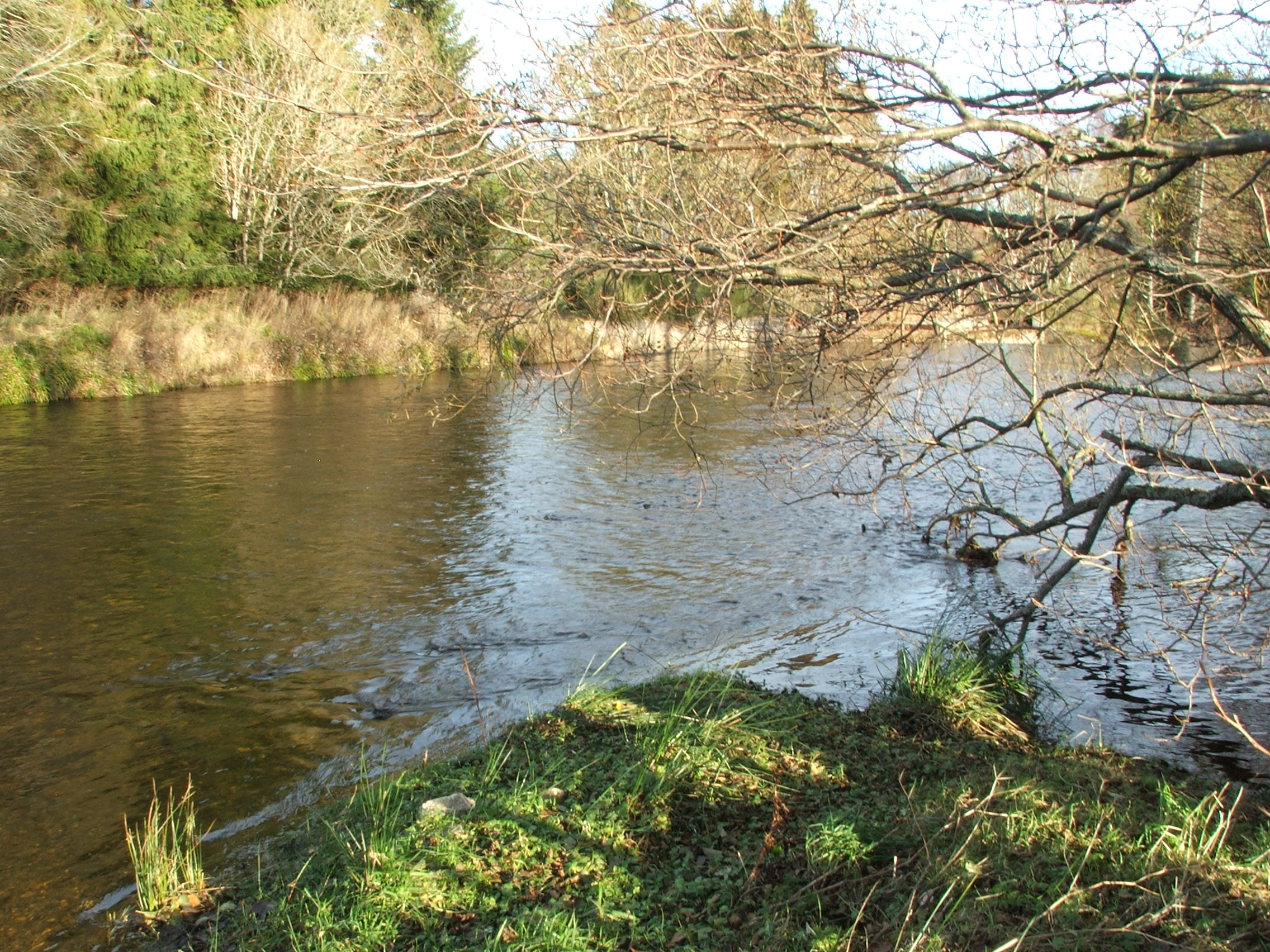 Print Photos | View Full-Size Image