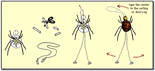 The best spider activities brought to you from the net