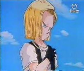 Android #18 Image Gallery