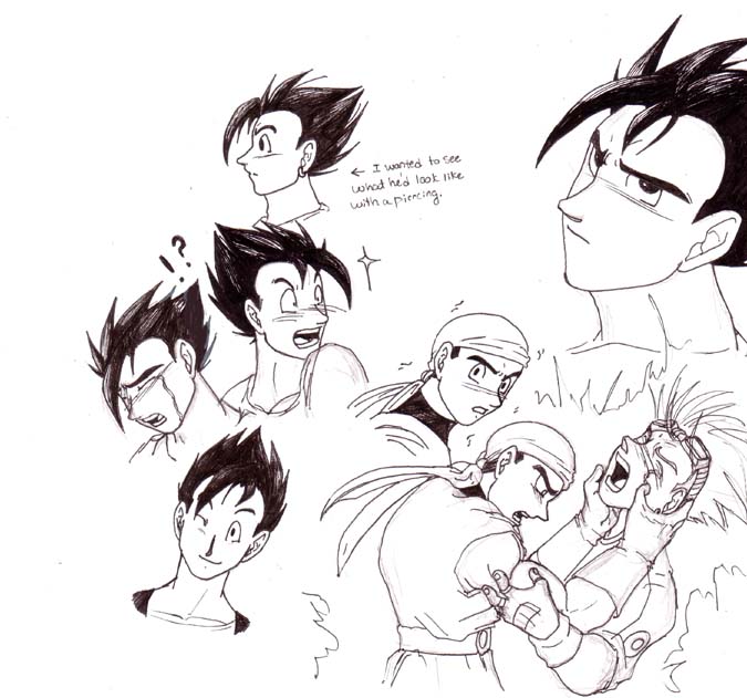 Gohan Profile Study