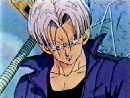 trunks234234.jpg