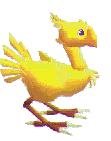 Chocobos