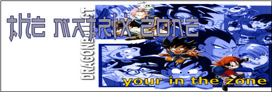 THE MATRIX ZONE