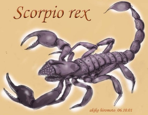 scorpio rex