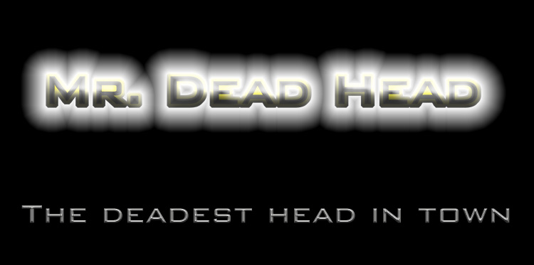 Mr. Dead Head