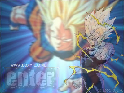 Enter Dragonball X-treme Mayhem!