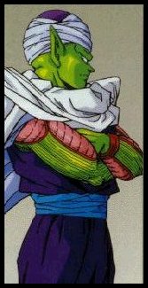 PICCOLO