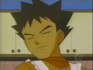 Pokemon Professor Ivy And Brock