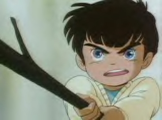 Ronin Warriors Gallery