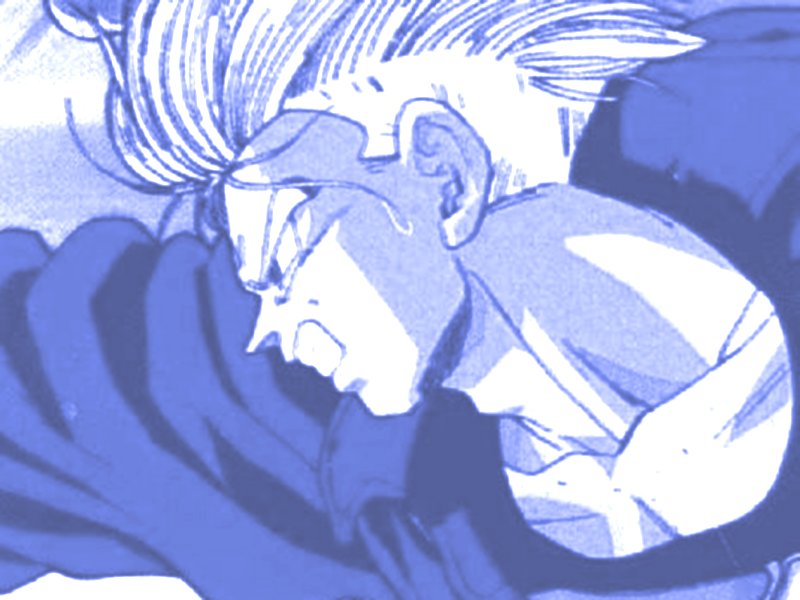 trunks10.jpg