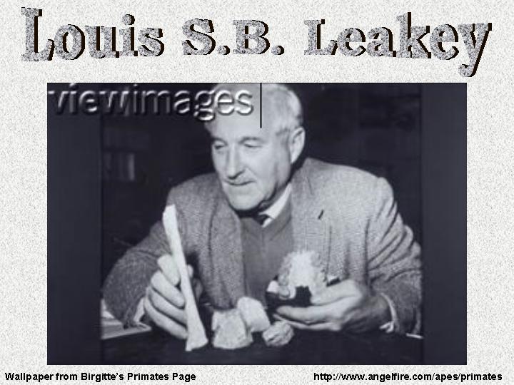 Facts About Louis Leakey | semashow.com