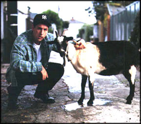 Misc. Adam Sandler Pictures