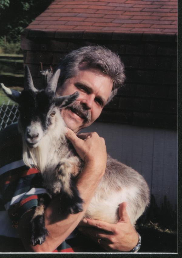 Bob the Pgymy Goat