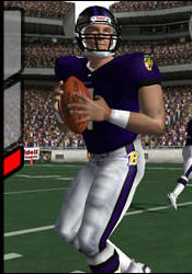 Chris Redman: #7 Quarterback