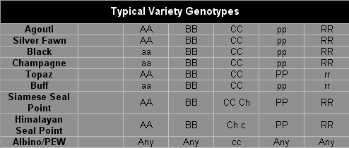 Ratty Genotypes