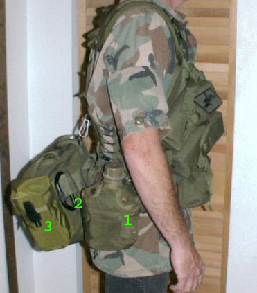 My LBV Pictoral Discription