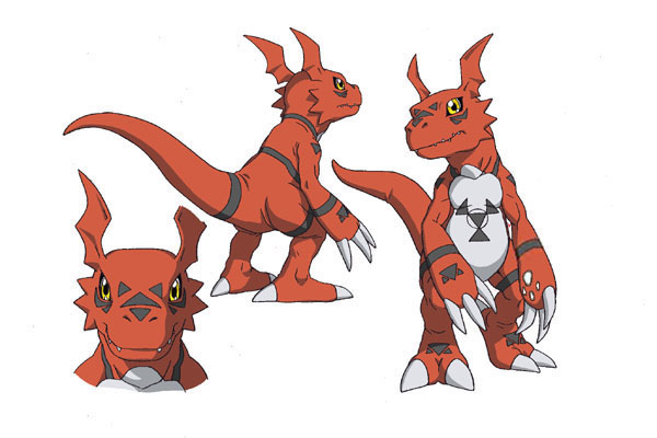 Tamers Island-Where you get your Tamers news first!