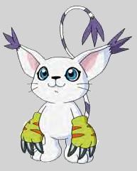 Name: Gatomon