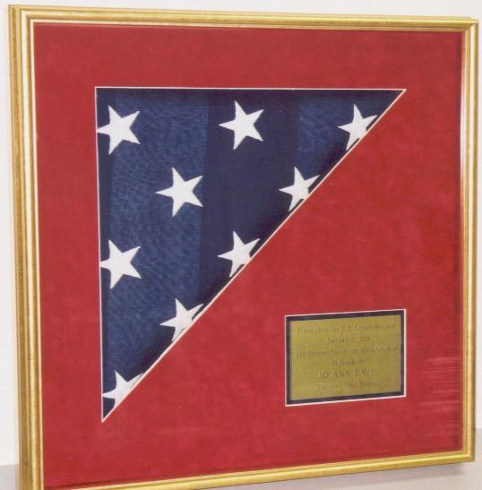 Flag Flown Over The United States