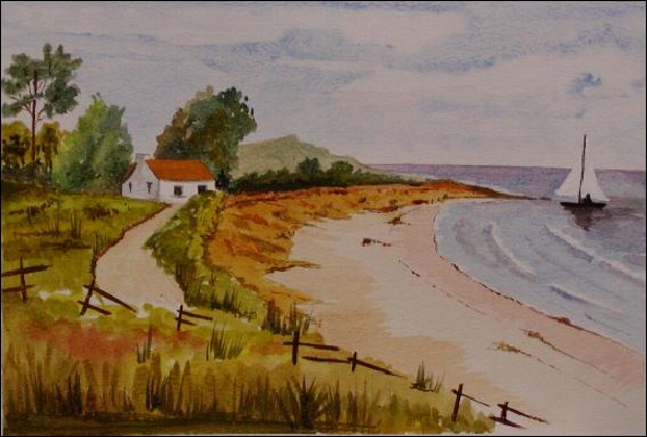 Andy Hall: Image 7 of 33