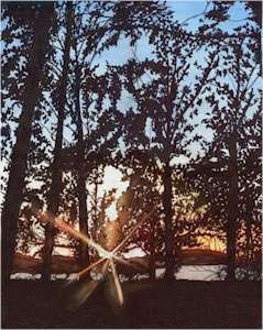 Last Moments of Lakeside Light