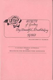 GROWING ROSES--The Rose Gardener’s Book: “SECRETS OF GROWING BIG ...