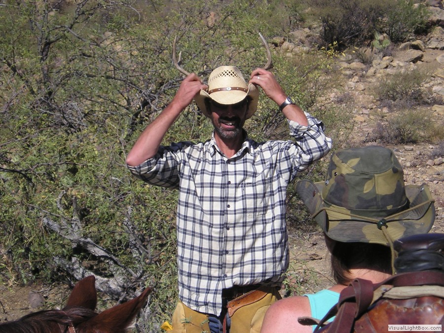 THE WILLIAMS FAMILY RANCH, Wickenburg, Arizona, vacation at a real ...