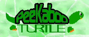 Peek A Boo Turtle