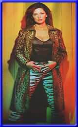 On Her Way - The Full Shania Experience!