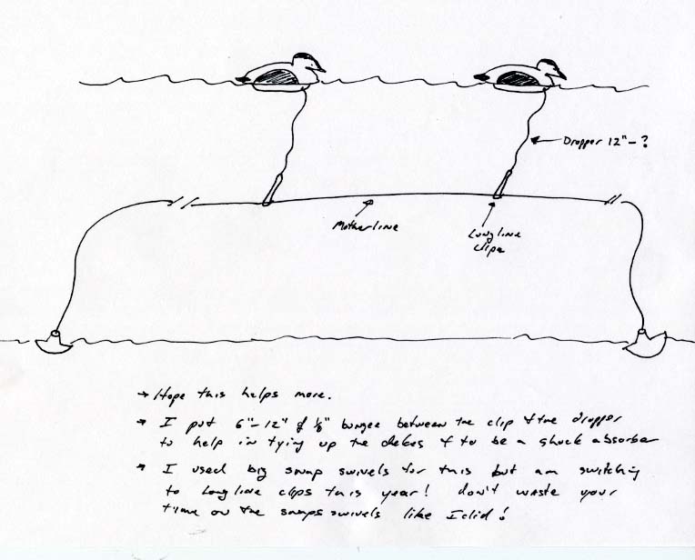 CanCrazy Canvasback Decoys