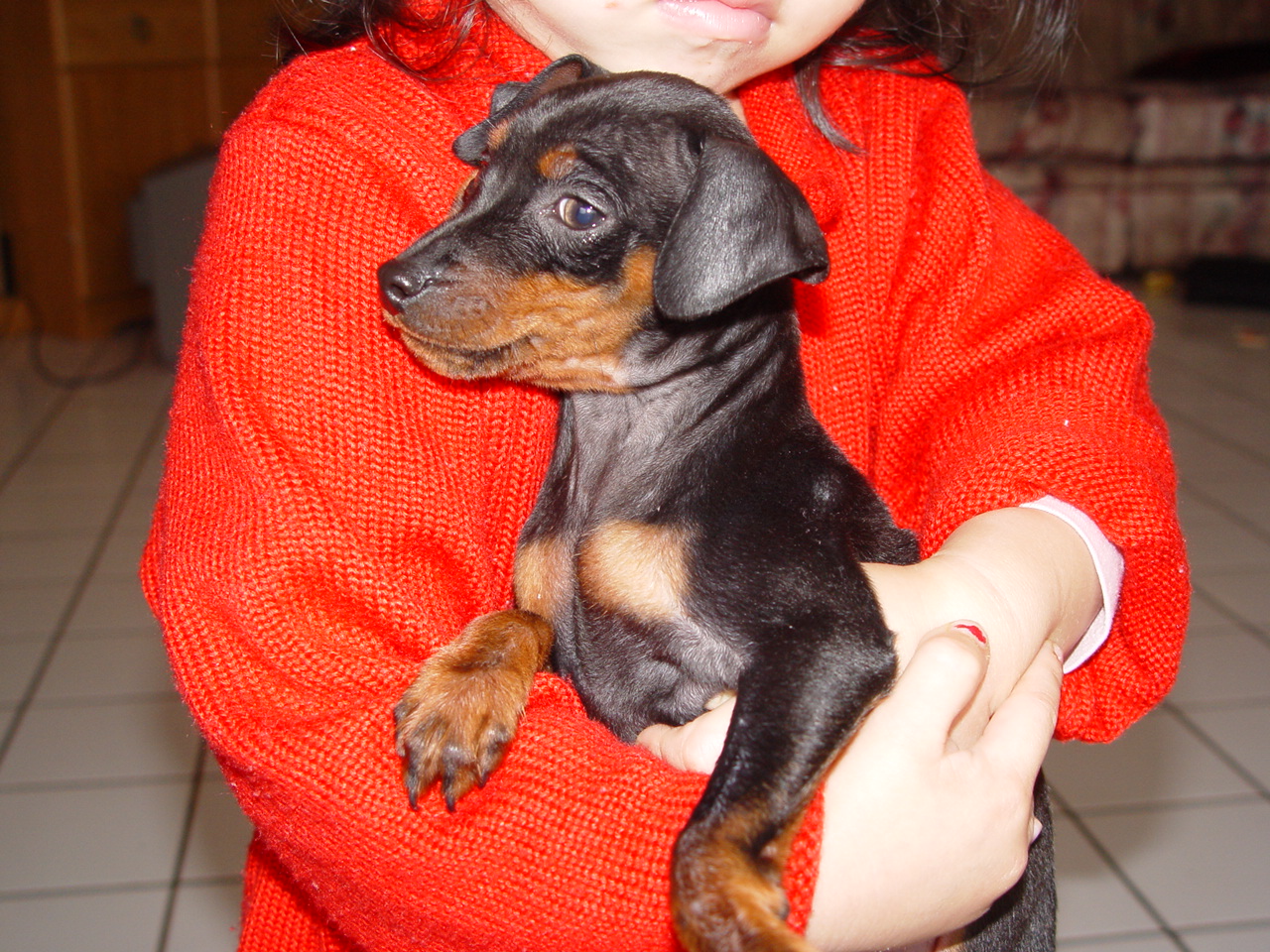 Print Photos | View Full-Size Image