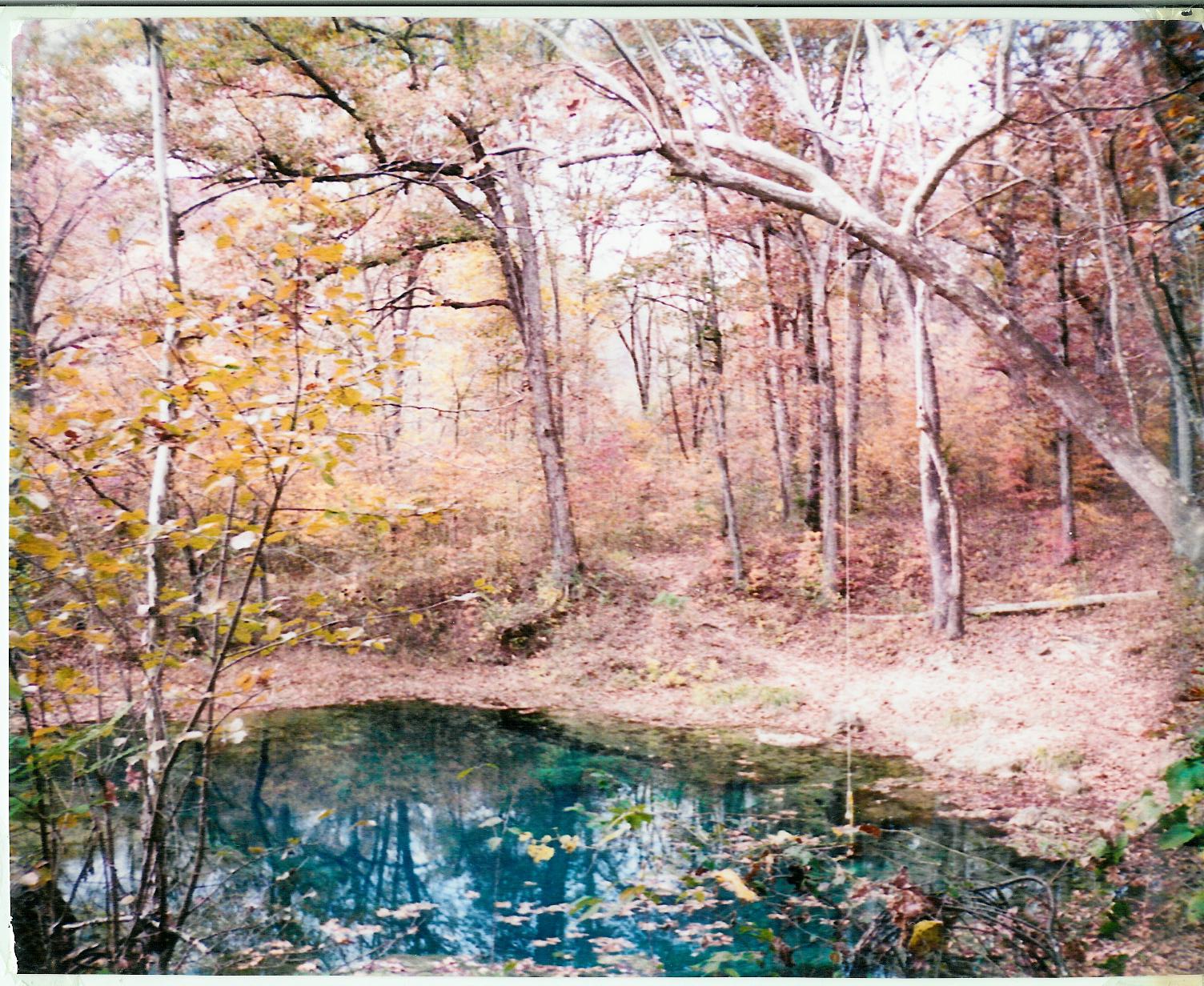 Print Photos | View Full-Size Image