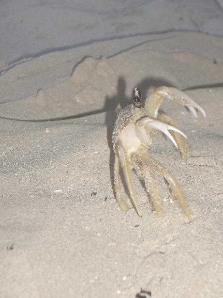 Print Photos | View Full-Size Image