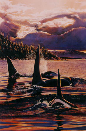 1000+ images about Orca / Killer Whales ( Artwork ) on Pinterest ...
