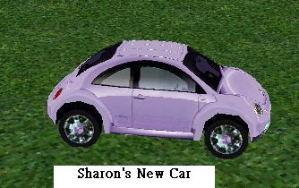 Sharon's Car