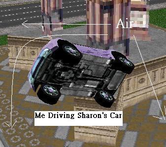 Sharon's Car
