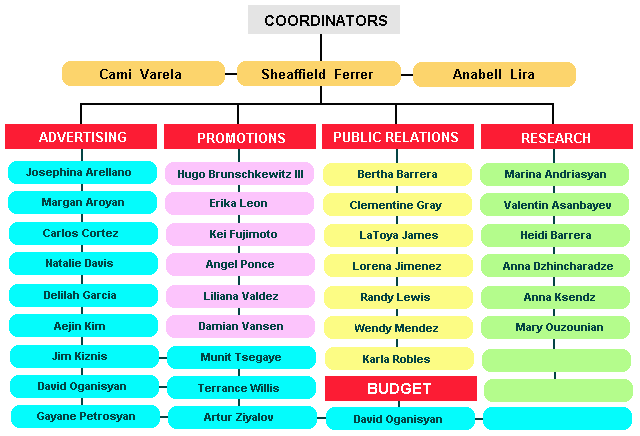 The International Advertising Agency Organization Chart