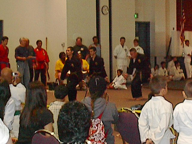 Shorei-Ryu Karate