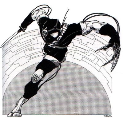 The Ninja