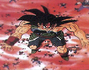 Bardock