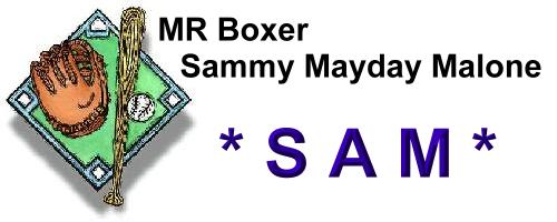 PawPrint Boxer Dogs presents - SAM